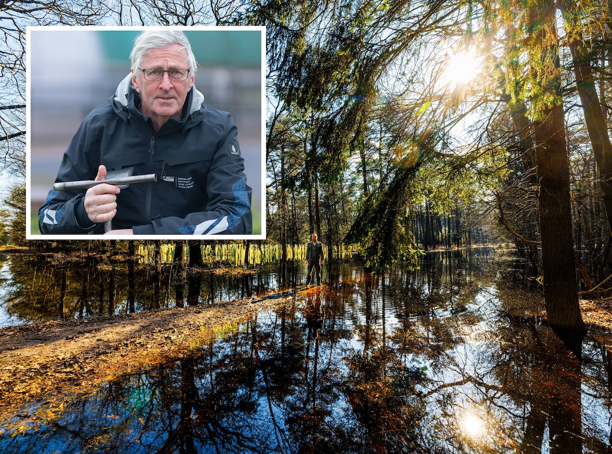 Op sommige plekken staat al een jaar lang water: wat doet dat met de ...
