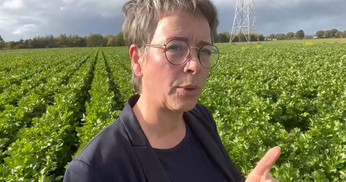 Politiek schrikt van sterfte door overstorten; BBB wil onderste steen ...