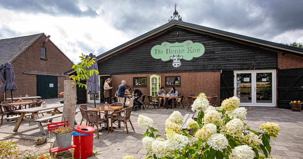 De Bonte Koe sluit per 1 januari: ‘Beste keuze voor het bedrijf en voor ...