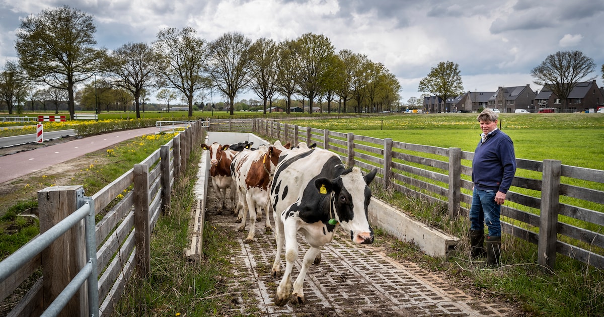 Nog veel te doen voor boer; agrariër belang bij goed milieu en goede ...