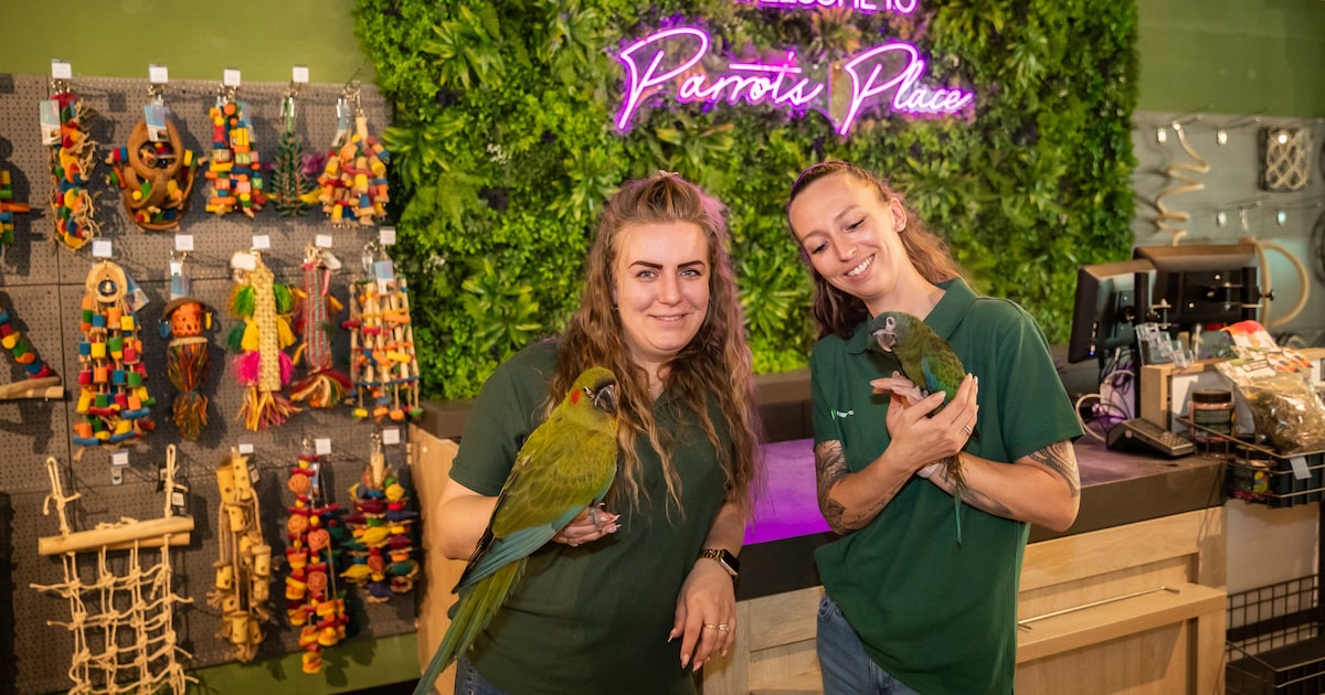 Ashley en Ashley openen speciaalzaak voor papegaaien in Veldhoven en ...