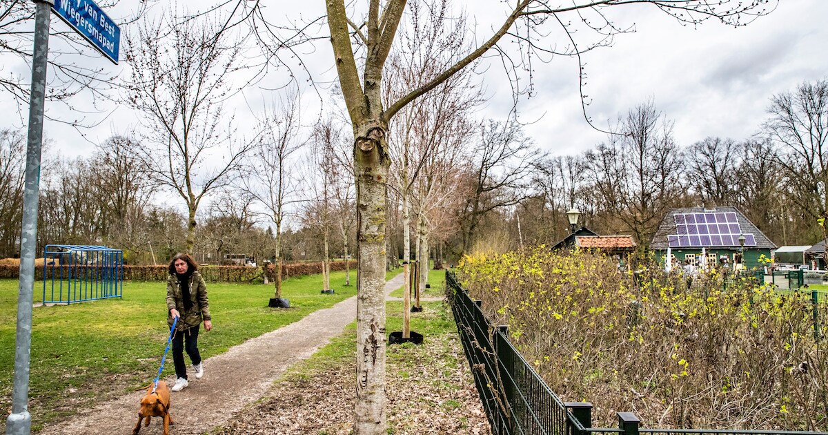 Vermaak en educatie voor iedereen in gebied Kleine Meer | Regio | ED.nl