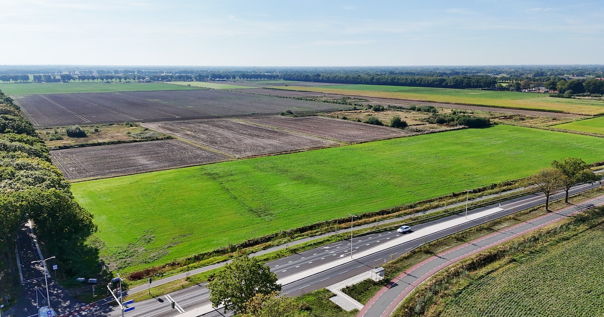Plannen voor een groots kassengebied bij Deurne stranden op ...