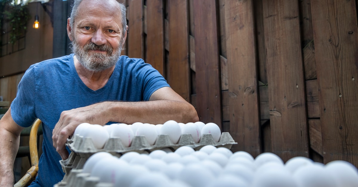 ‘Goeike’ Hans verkoopt 10.000 eitjes per maand voor een ander | De Peel ...