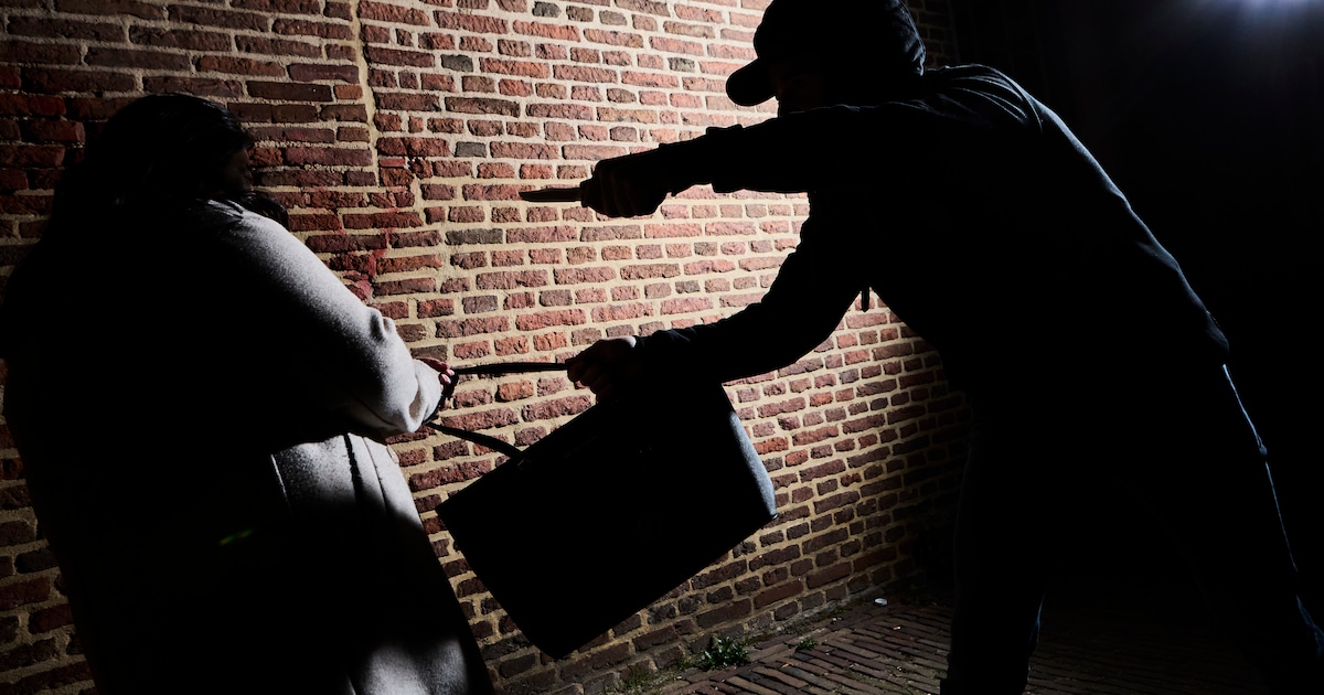Jongens van 15 en 17 opgepakt voor woningoverval op vrouw (82) uit ...