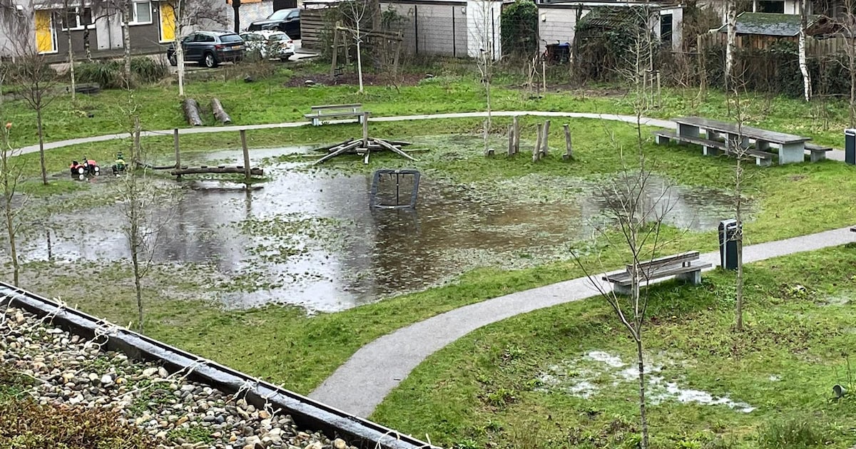 Bladel kijkt extra naar de werking van wadi's | Regio | ED.nl