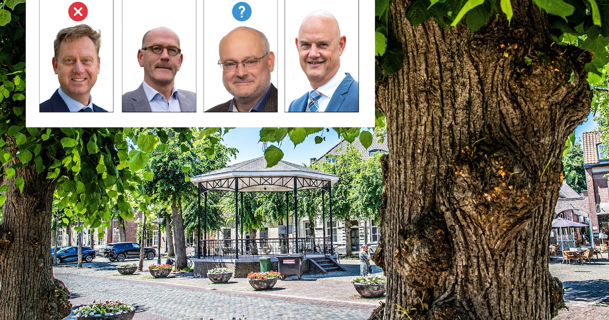 Verzet tegen regionale bouwplannen stort Eersel in een crisis. Die ...