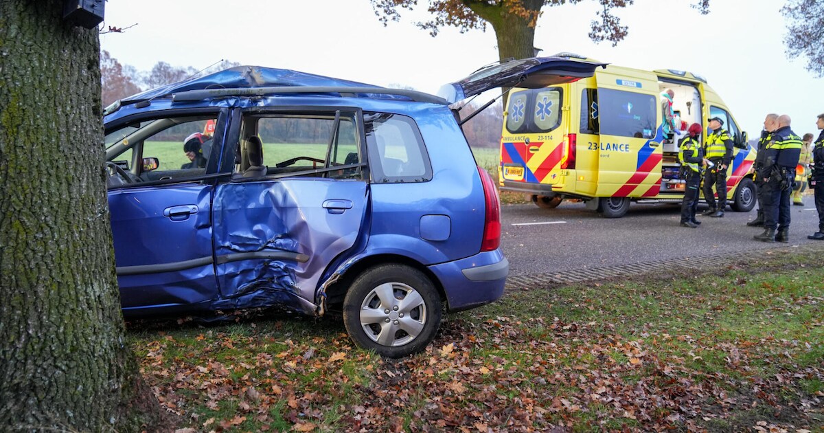 Auto botst tegen boom in De Rips, traumahelikopter komt voor gewonde bestuurder | De Peel | ED.nl
