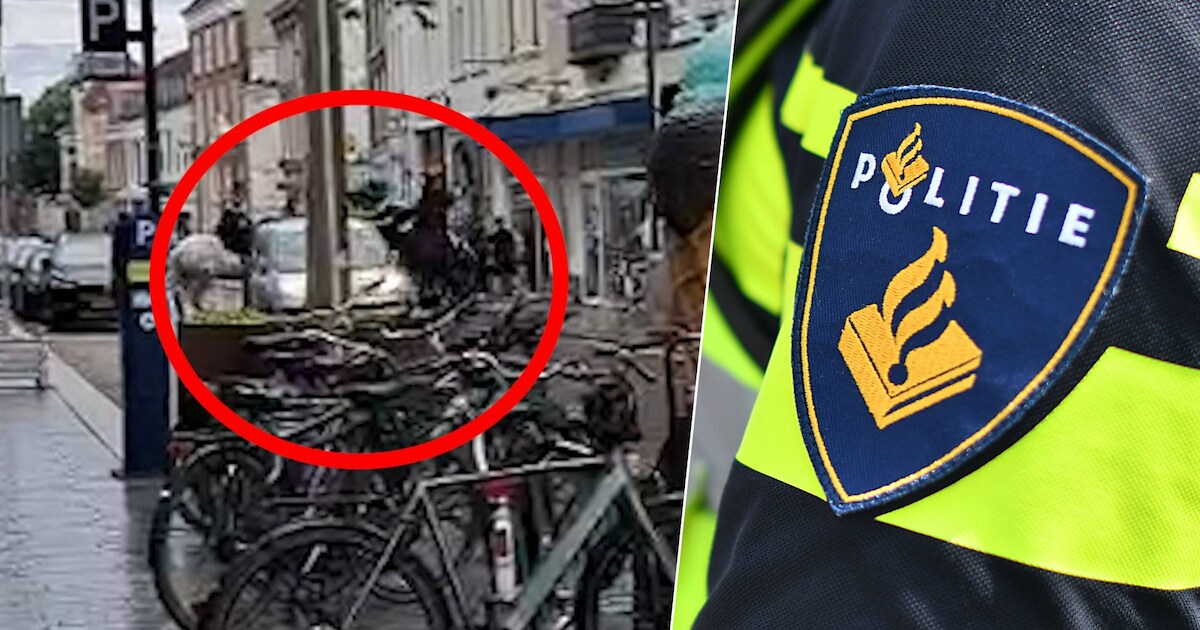 Man (50) aangehouden die politieagenten te paard aanreed in Den Bosch ...