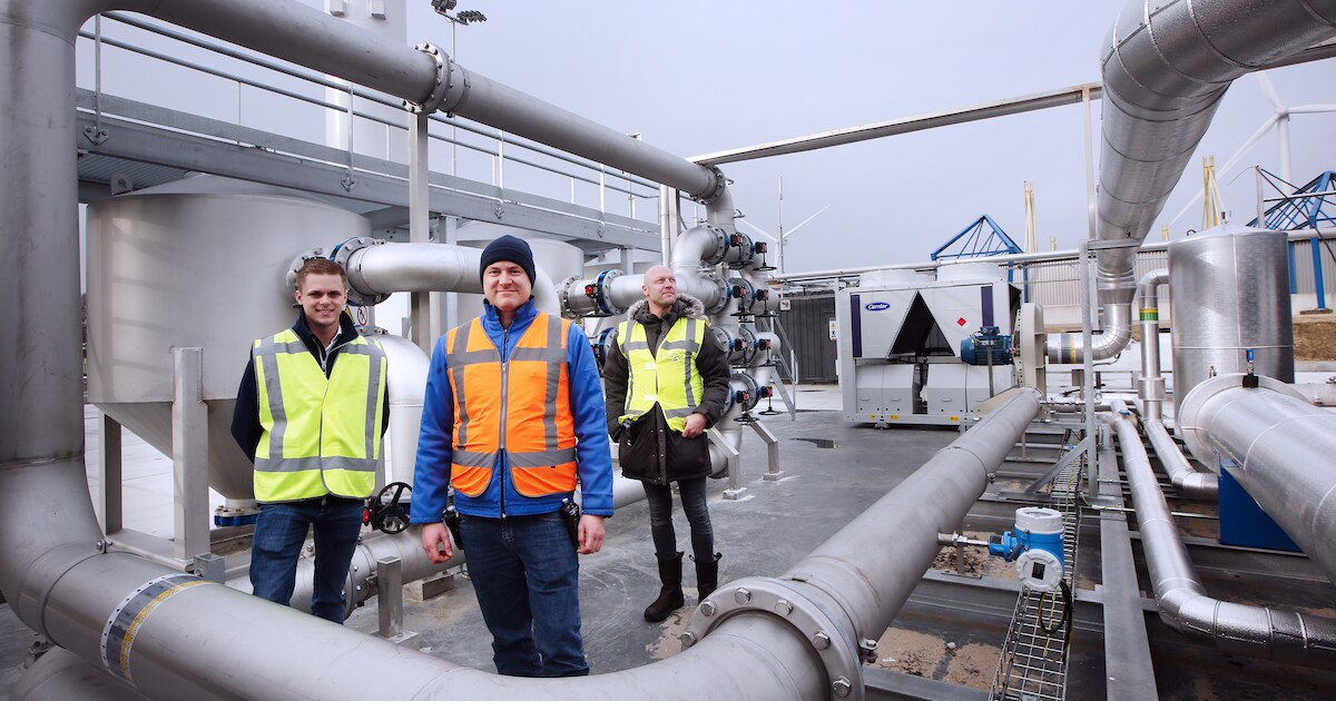 Waterschap levert gas uit poep en pies aan vierduizend huizen ...