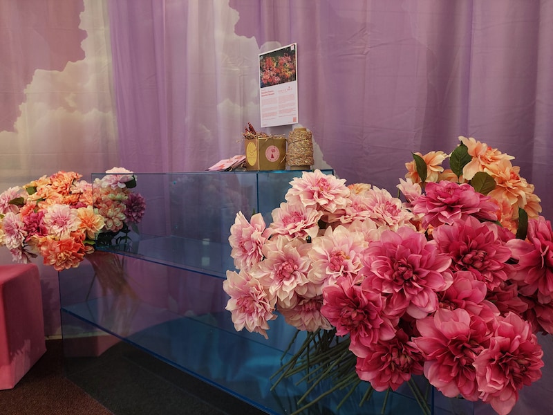 TERUGLEZEN | Dutch Design Week begonnen, het ED ging met 50 euro op pad ...