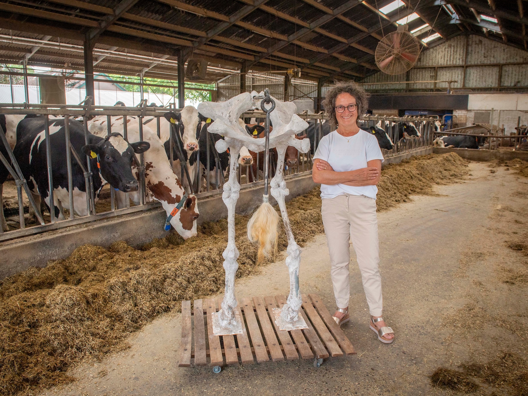 Net Binnen | Meest recente nieuws van ED.nl