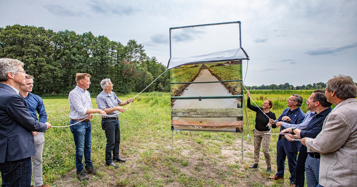 Nieuwe natuur bij landgoed De Utrecht ‘ingelijst’ | Kempen | ED.nl