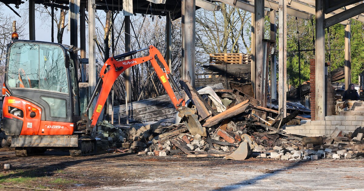 Brand legt twee loodsen van een kwekerij in de as in Bergeijk: ‘Het is ...