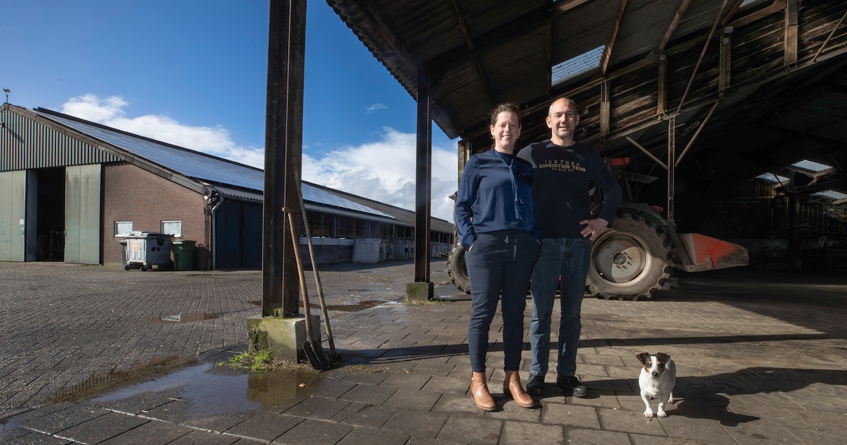 Boerin Maaike opent staldeuren voor theaterstuk over boerenleven: ‘Een ...