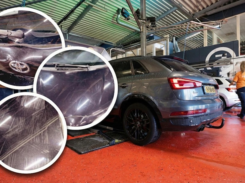 Van traditionele slagerij naar zelfbediening, Twan Beerens uit Best ...