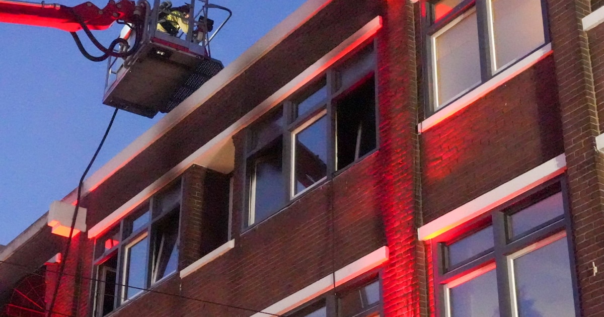 Nachtmerrie voor Helmondse horecabaas Björn: ‘Ik hoopte op een goede ...