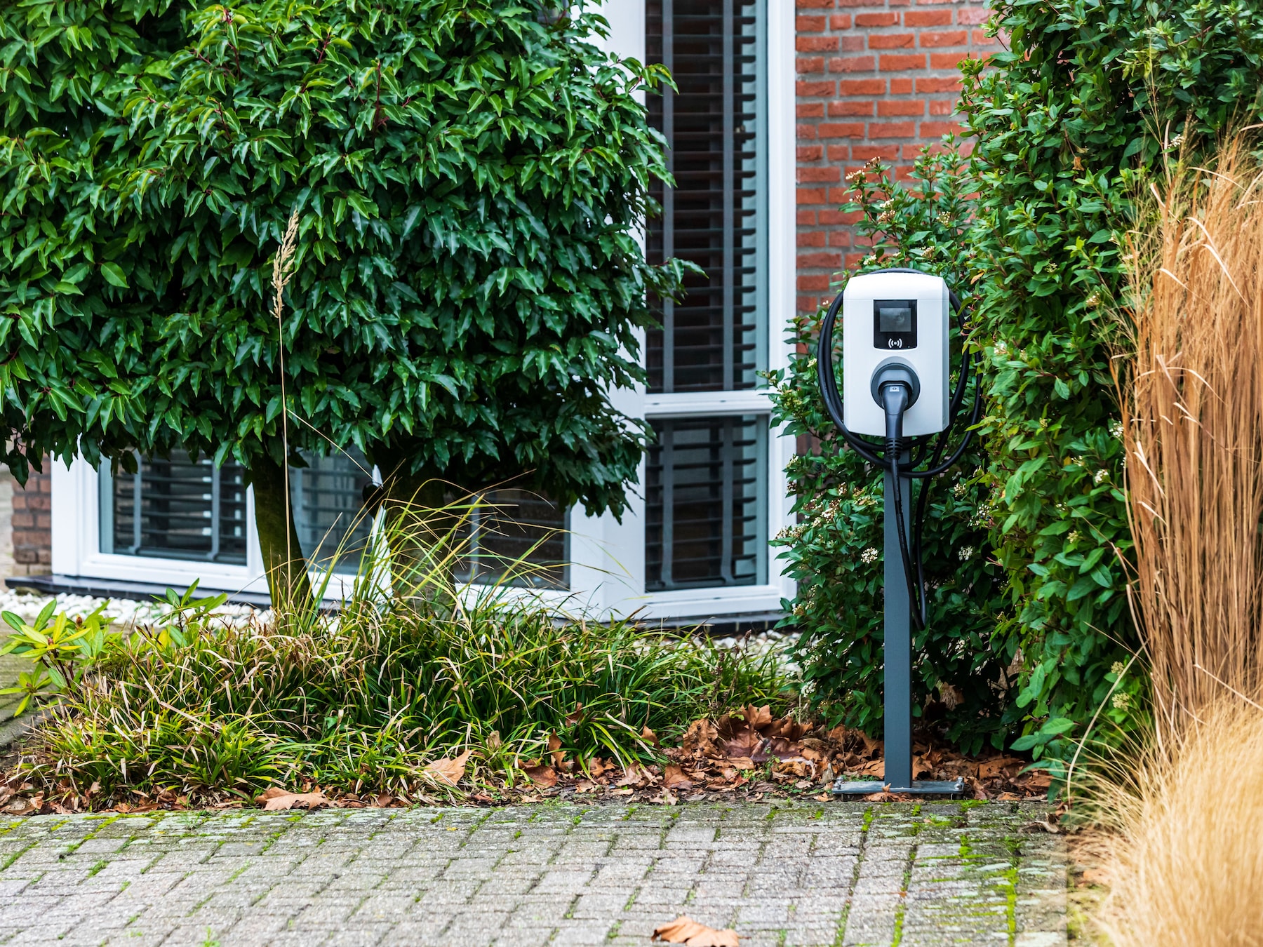 Pascal kent de zegen en vloek van Magister voor leerlingen | Opinie | ED.nl