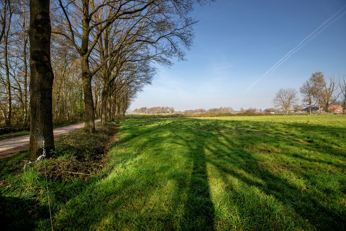 Vele paden door De Groene Long in Bladel | Kempen | ed.nl