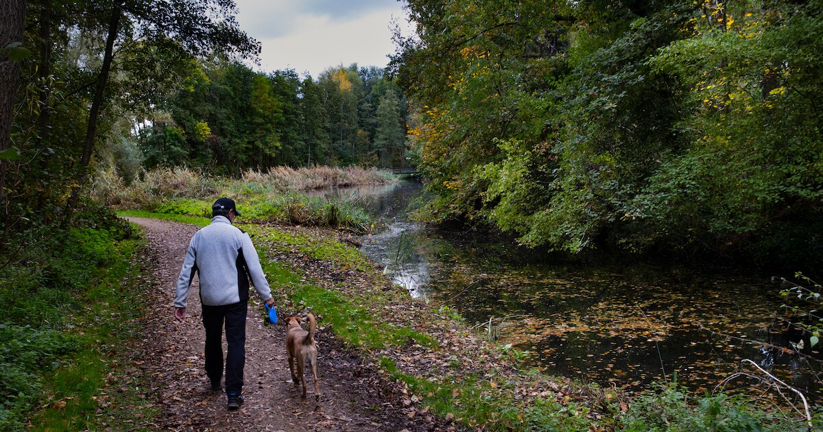 Laarbeek blijft voorlopig het pispaaltje van Brabant als het om ...