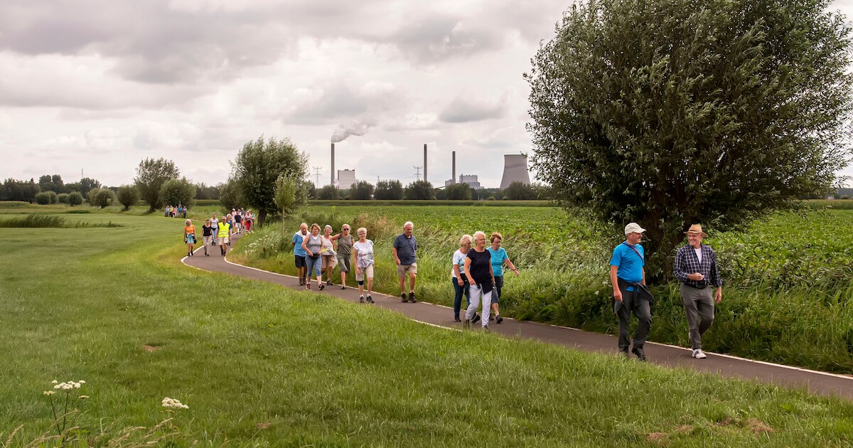 Wandeling voor senioren in Helmond | Helmond | ED.nl
