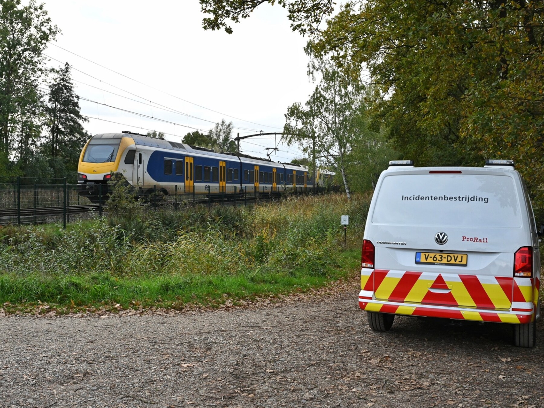 Baest, Best-Oirschot of Heidelanden: hoe gaat de nieuwe fusiegemeente ...