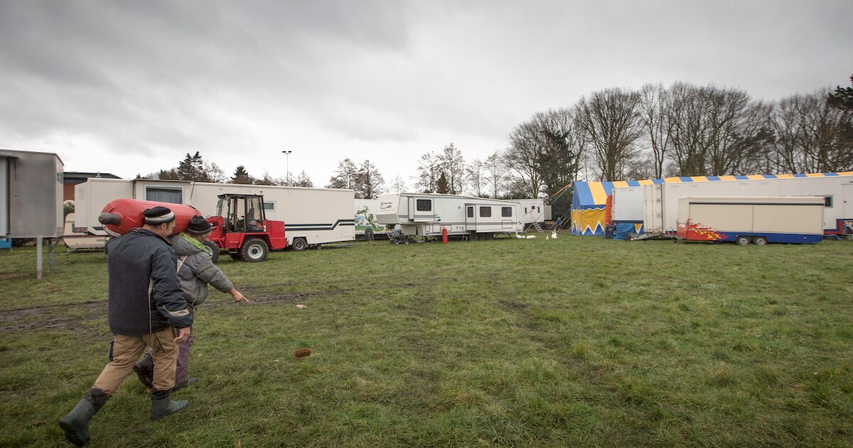 Circus Freiwald geeft voordat het vertrekt vier shows in Leende | Heeze ...