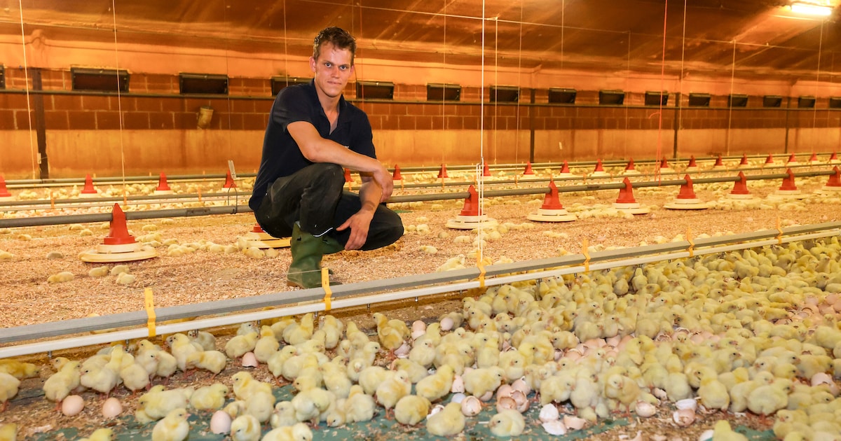 Gydo (28) in onzekerheid nu toekomst van landbouwbedrijven op het spel ...