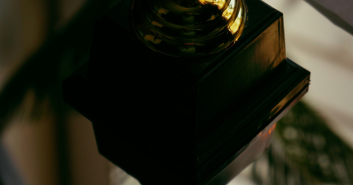 Martijn van Hooff van Máxima MC wint Goof Schep Innovatieprijs | Veldhoven | ED.nl