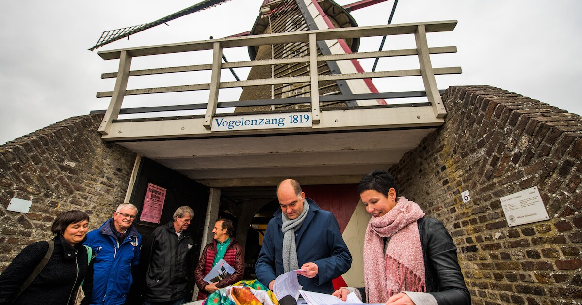Primeur voor Laarbeek: Lieshoutse molen als Van Gogh-plek | De Peel | ed.nl
