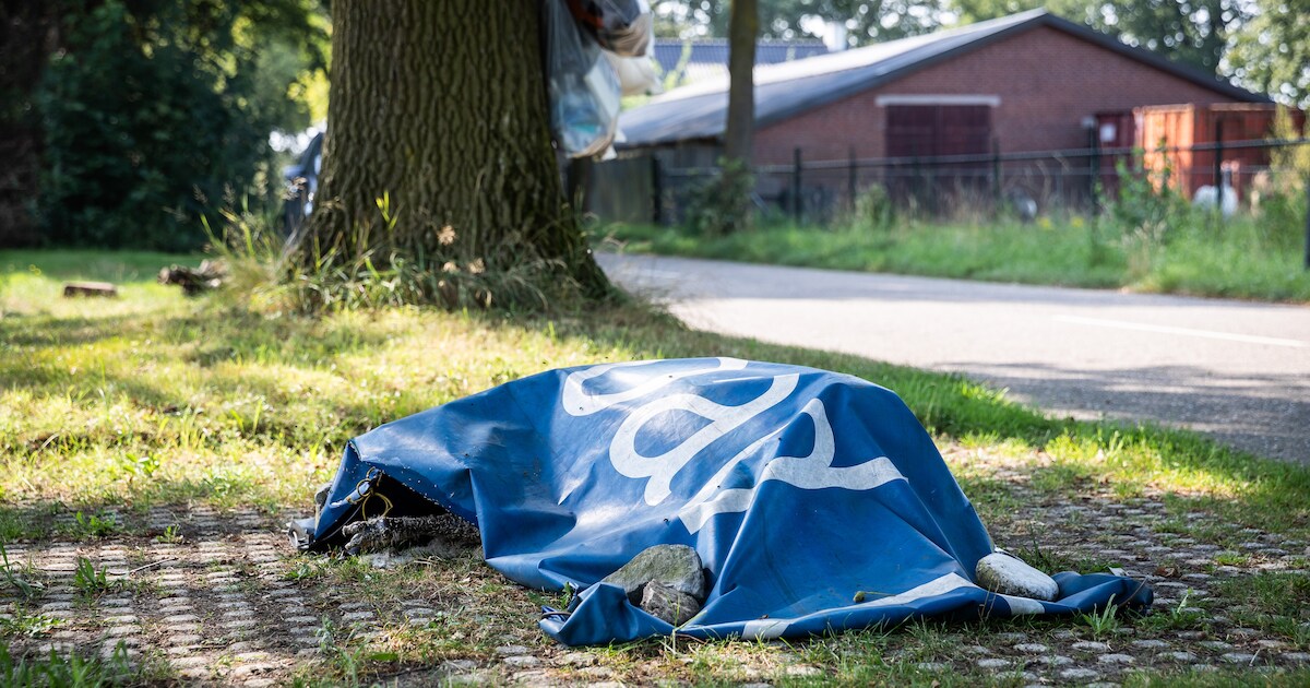 Alle hens aan dek voor destructiebedrijf, maar hoe voorkom je dat een ...