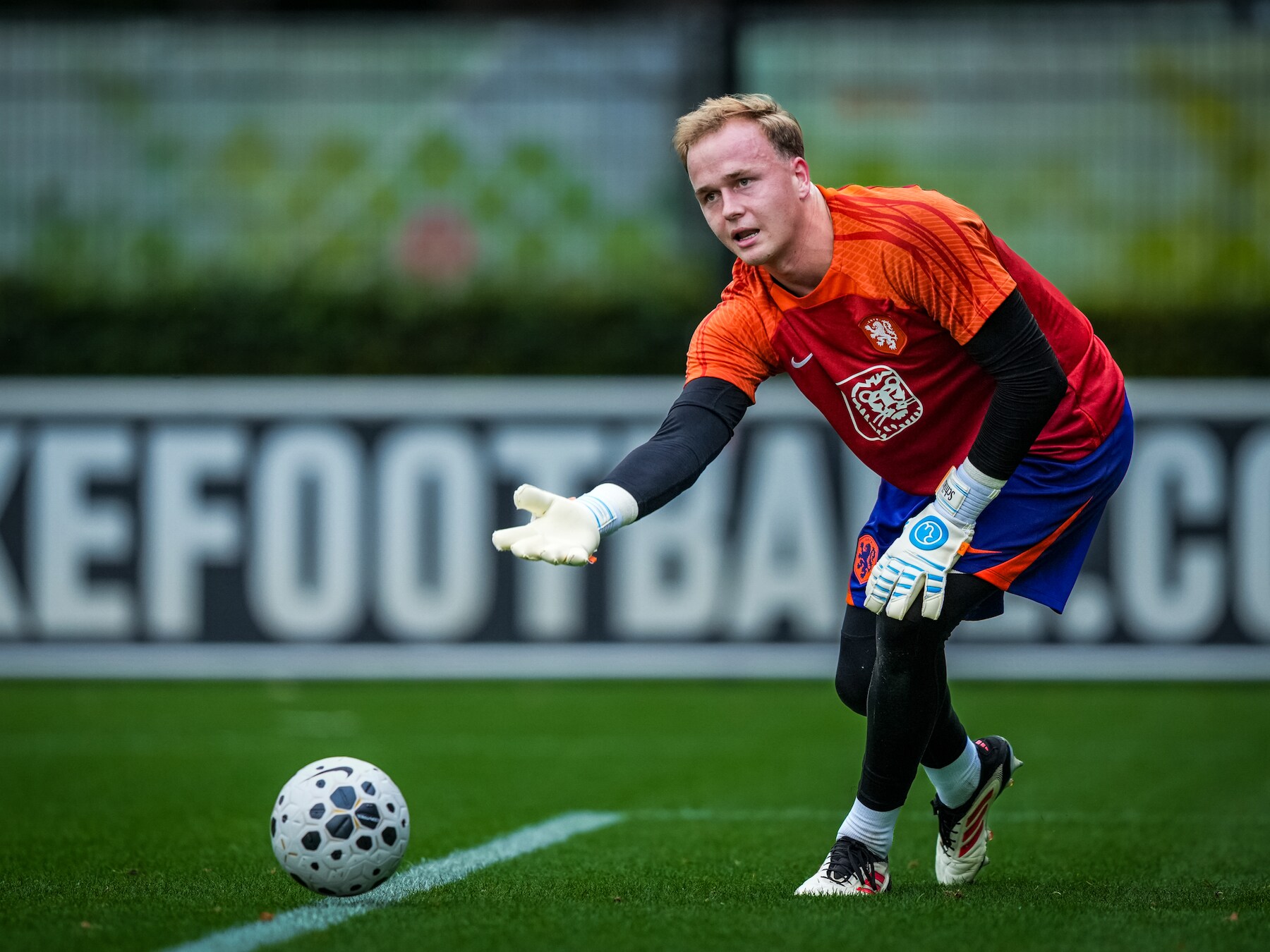 Dit is het complete speelschema van PSV in de Champions League | PSV ...