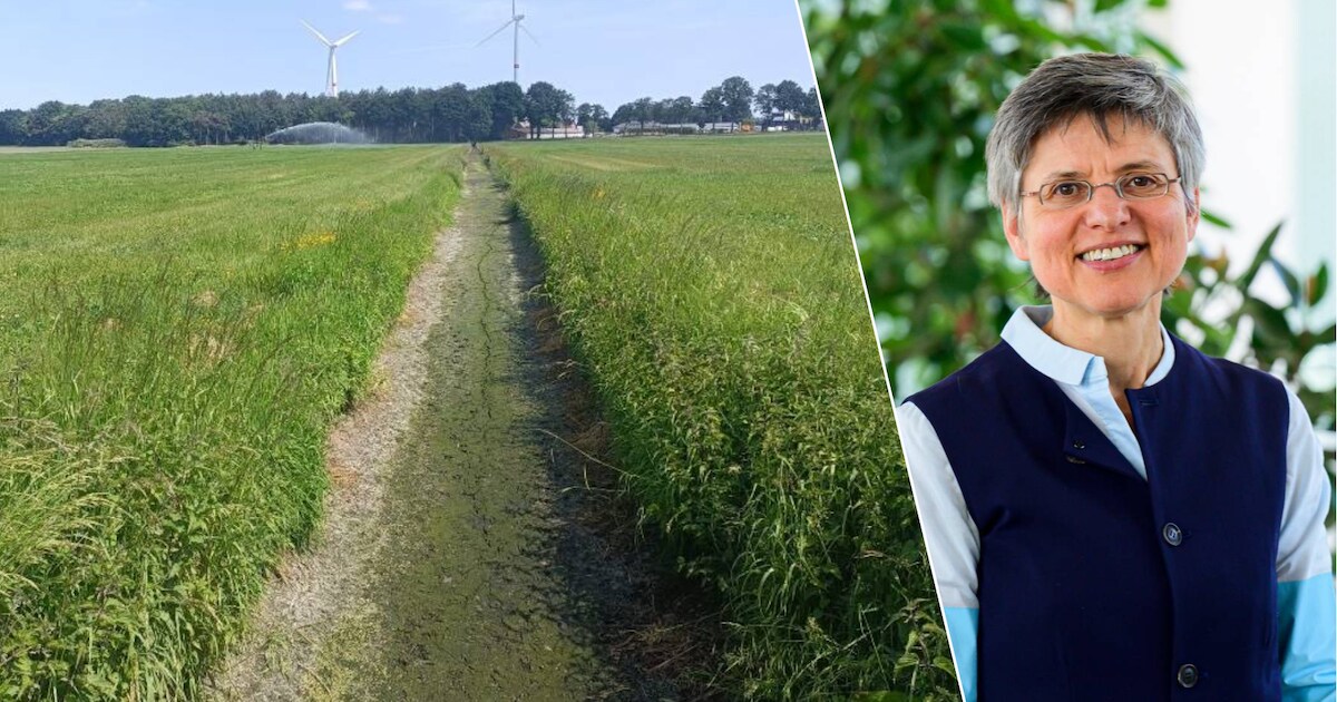 Cathy Berx (CD&V) breidt onttrekkingsverbod voor onbevaarbare ...