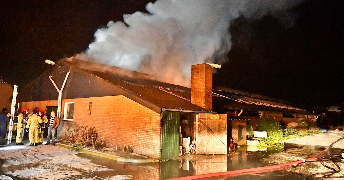 Krantenbezorger ontdekt stalbrand in Sterksel, koeien in veiligheid ...