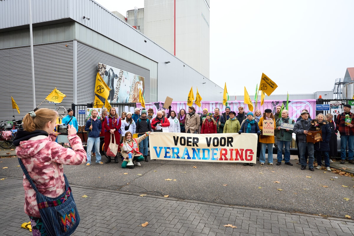 Animal feed factory allowed by court to increase weekend production, to ...