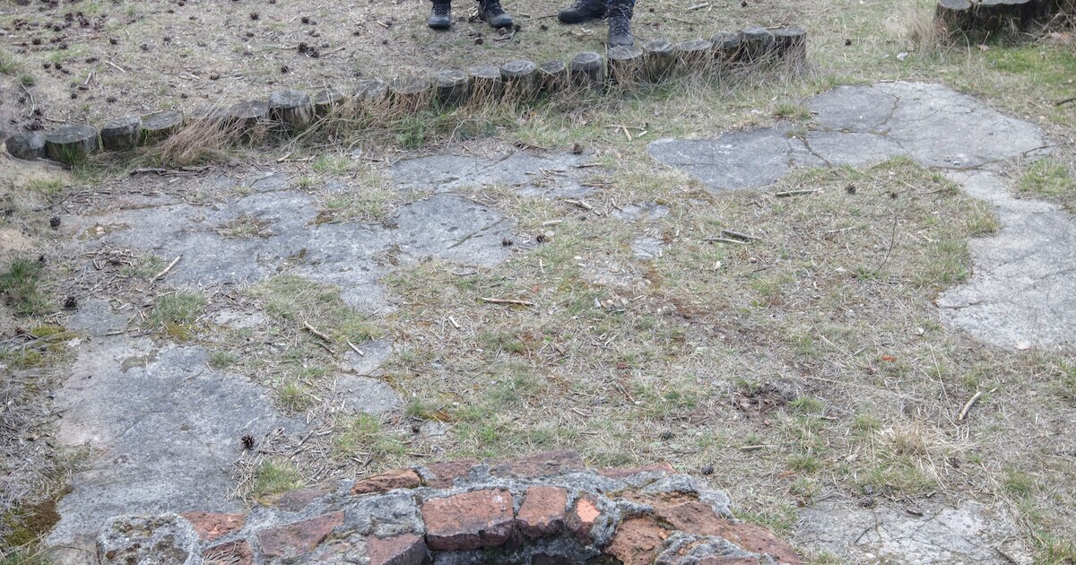 Familielid over Kamp Dennenlust in Lierop: ‘Hoe konden ze hier in ...