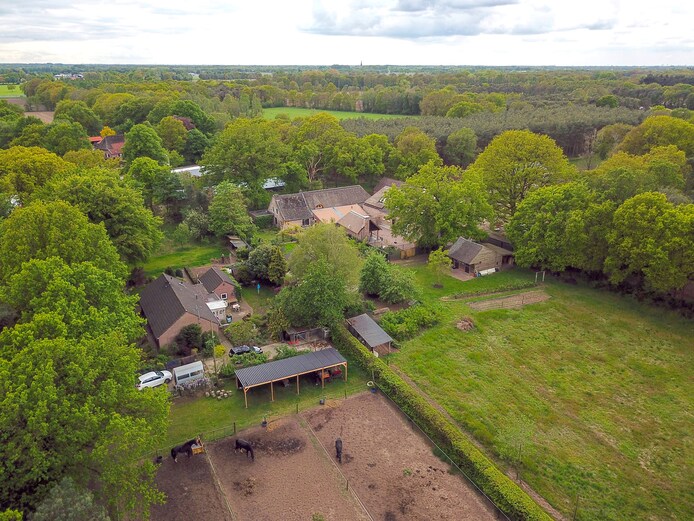 Piet en Saskia maken al jaren ruzie over wie huisnummer 4a krijgt ...
