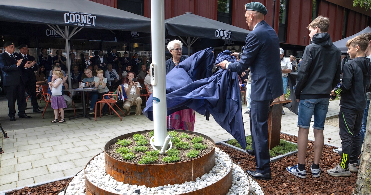 Asten eert eigen veteranen met Anjerperkje in het centrum | Asten | ED.nl