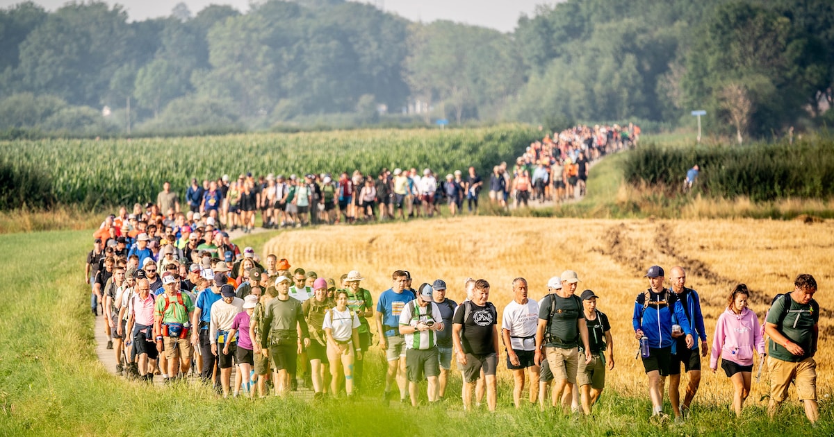 Meierijstad wandelaars krijgen steun bij Nijmeegse 4Daagse | Regio | ED.nl