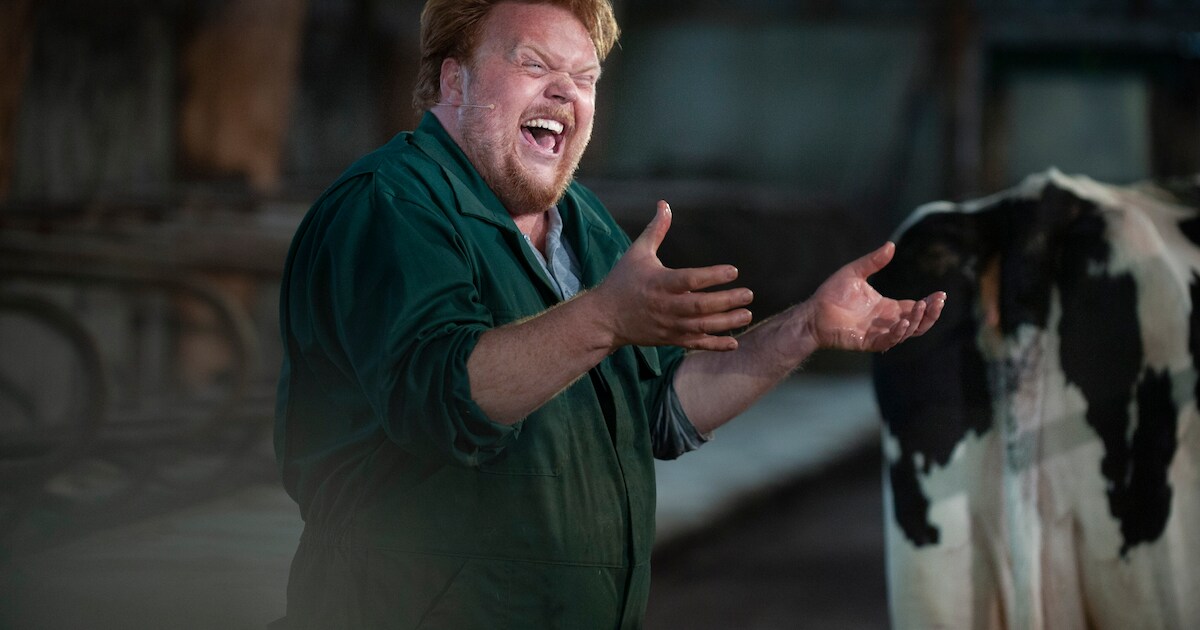 ‘Maalkop’ in Best: de boer en zijn pijn in een lege stal | Cultuur | ED.nl