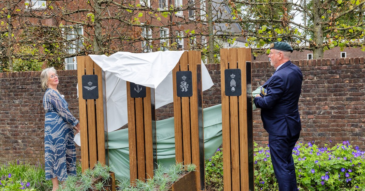 Nieuw veteranenmonument moet plek worden voor herinneringen | Reusel-De ...