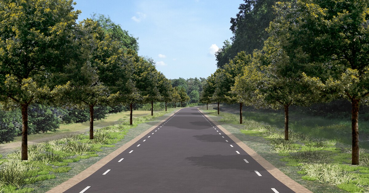 Tracé nieuwe weg tussen Eersel en Bergeijk bekend | Eersel | ED.nl