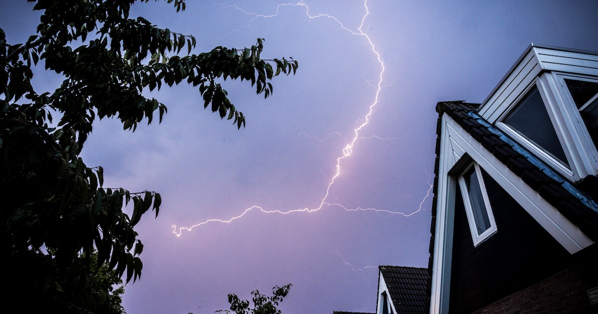 LIVE Hitte | Eerste officiële hittegolf sinds 2022, vanmiddag code ...