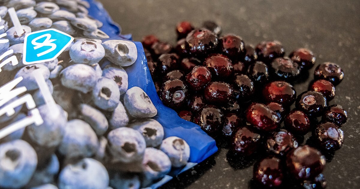 Meer zieke mensen melden zich bij AH na eten blauwe bessen | Binnenland ...