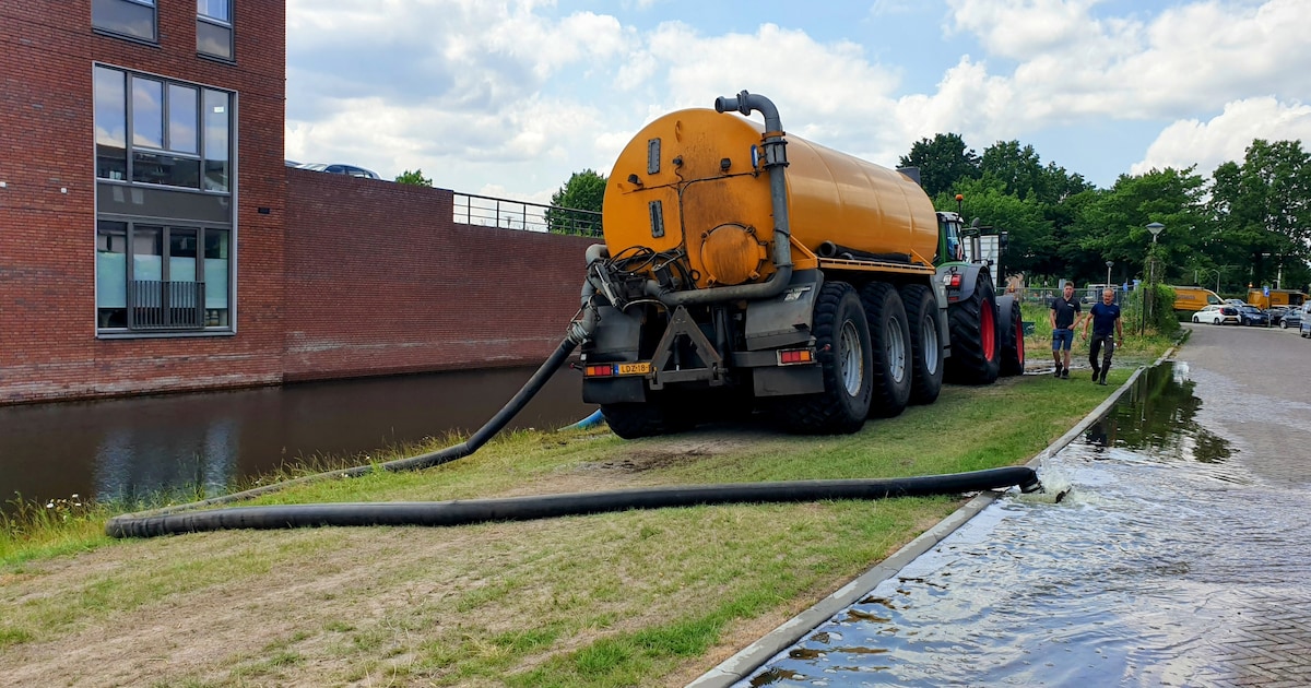 Oorzaak van stank die Helmondse wijk al weken teistert, is bekend (en ...