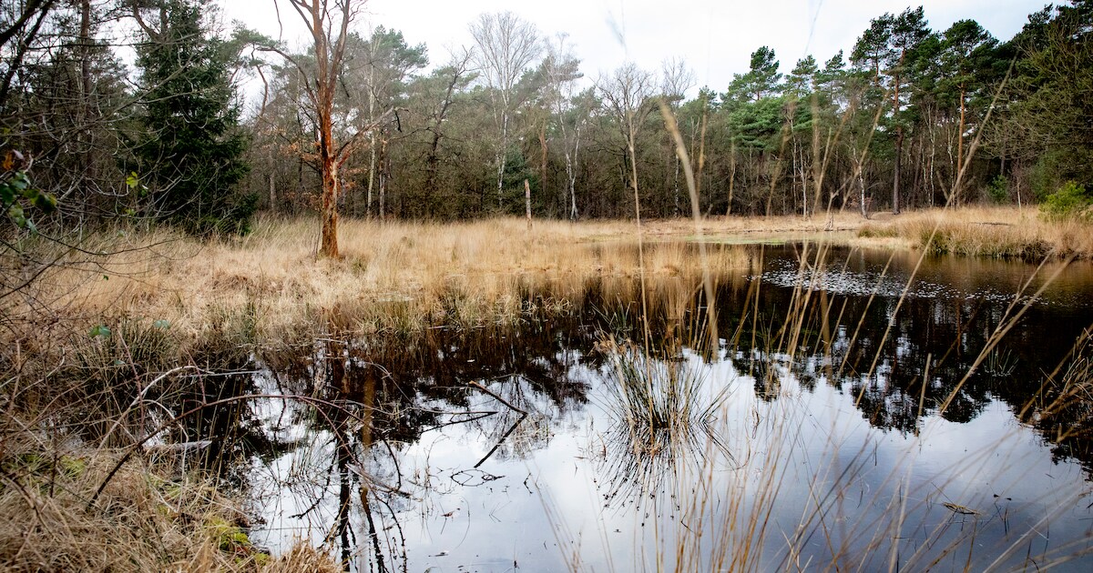 Lezing over ‘List en bedrog in de natuur’ | Best | ED.nl