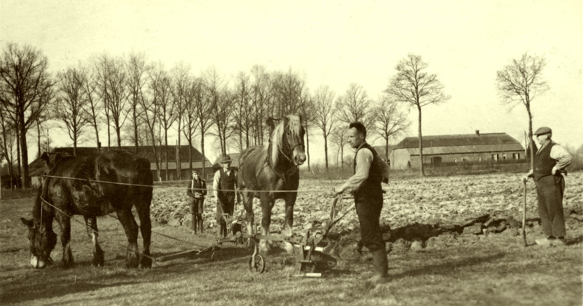 Met de Collse Hoeve verdwijnt een stuk historie van Nuenen - en het ...