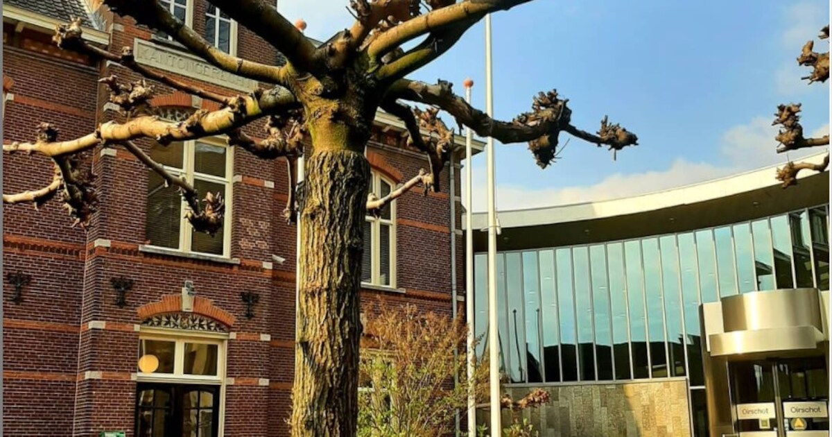Afscheidnemende griffier Oirschot legt bom onder samenwerking: ‘Stop ...