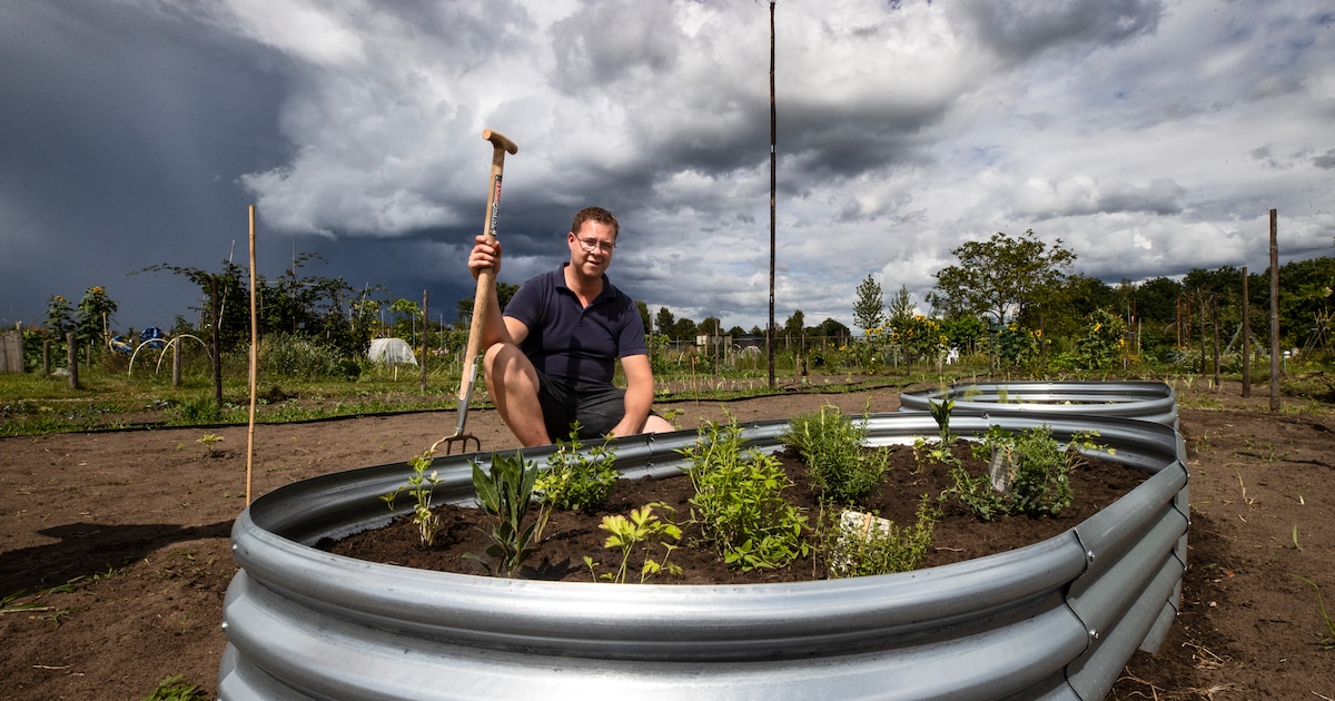 Deze 6 meter hoge antenne­mast moet Thomas (35) uit Asten helpen aan ...