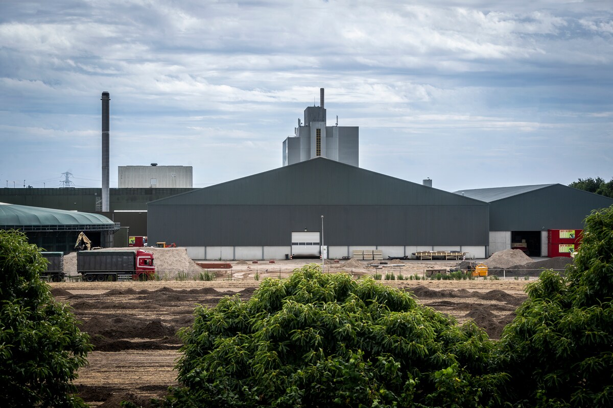 Provincie mag geen boete opleggen aan Den Ouden: ‘Het voelt alsof ze ...